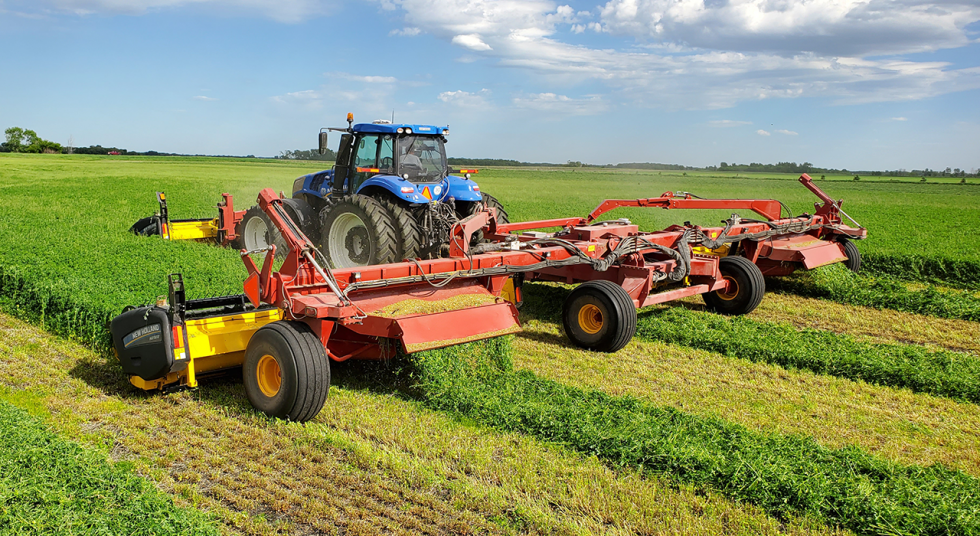 Triple Cutter | PhiBer Manufacturing