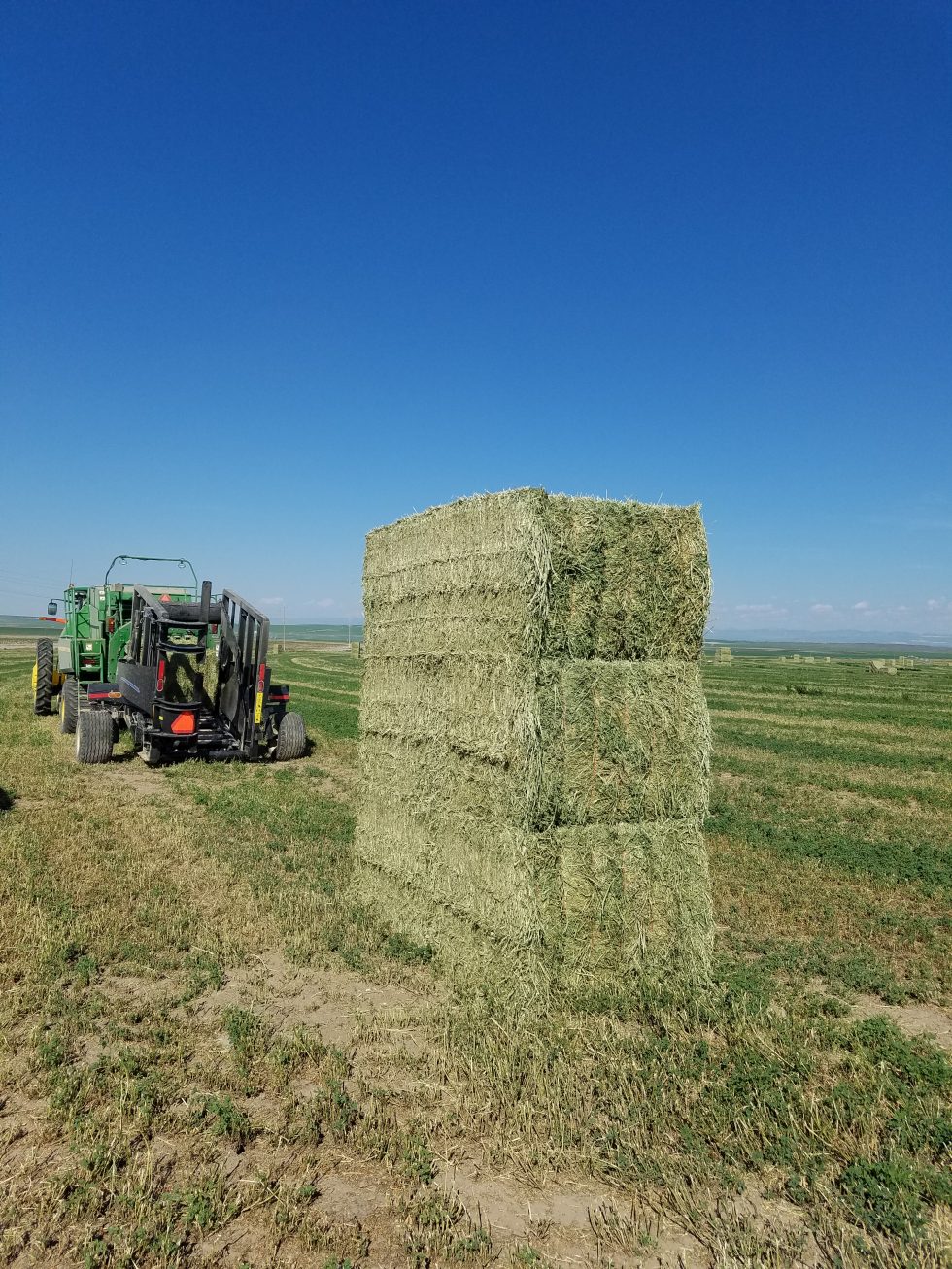 John Deere Offers New Solutions For Handling Large Square Balers ...